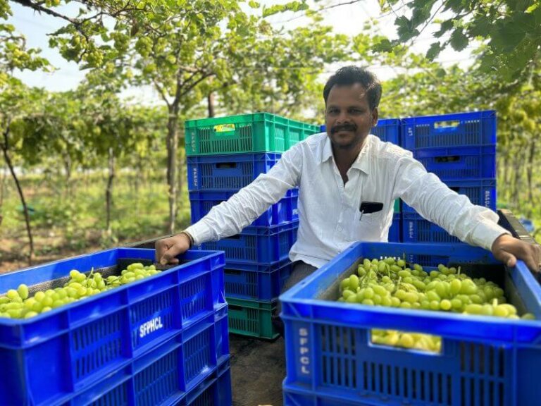How a Nashik company owned and run by small grape farmers turned into a ...
