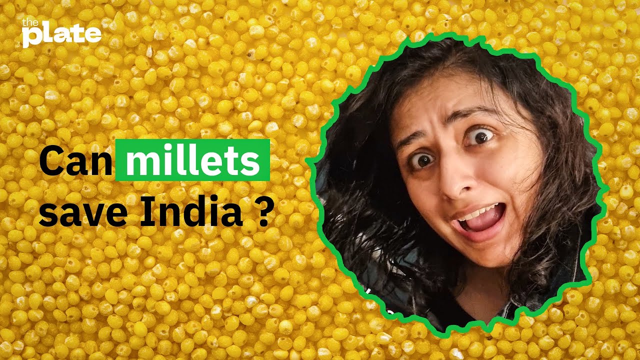 What are millets? | The Plate